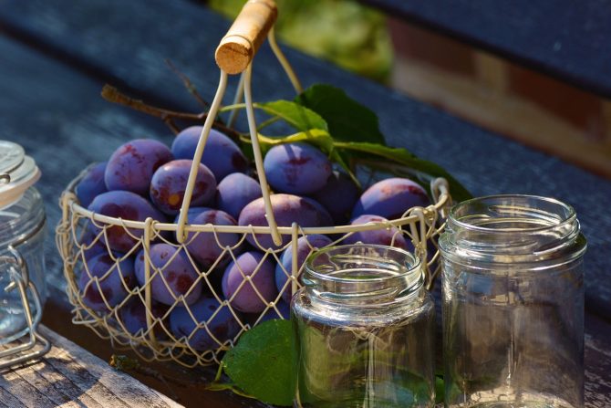 PIVČIĆI: Nezaboravni (a jednostavni) kolači sa bakine trpeze | Oseti Srbiju